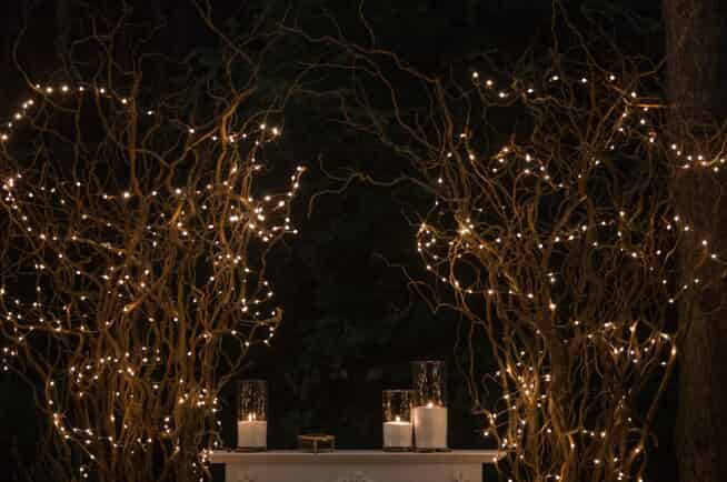 Blingle! Premier Lighting | What Are Fairy Lights? Types & Uses Explained