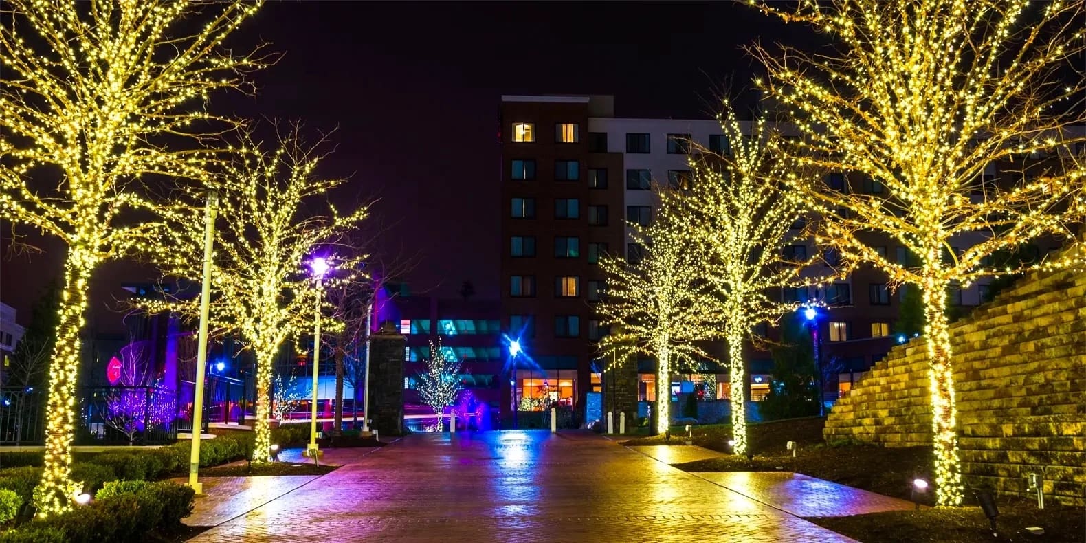 Commercial Lighting Photos | Blingle!